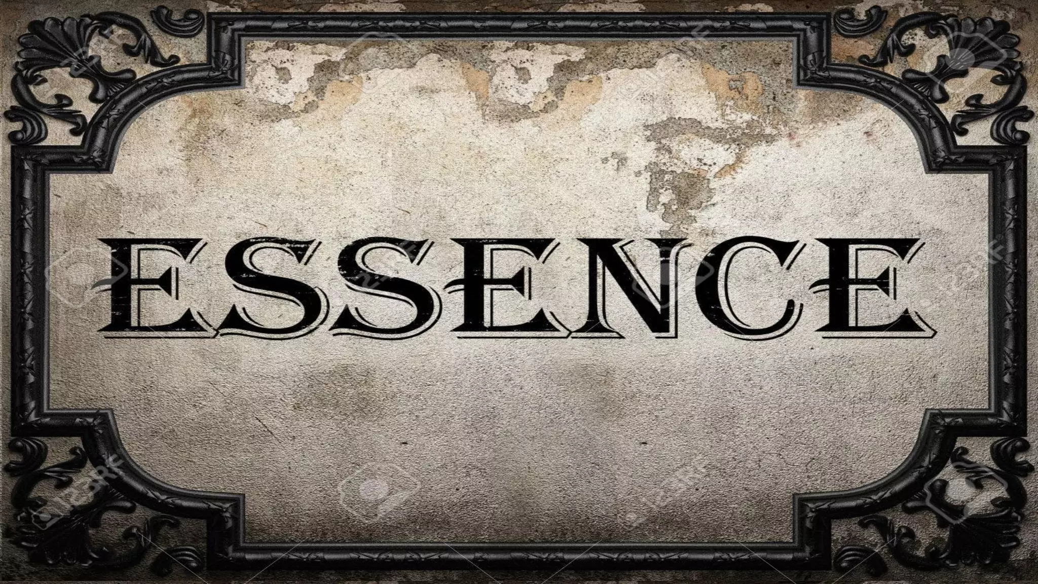 Introduction to the Philosophy of the Human Person - Essence vs ...