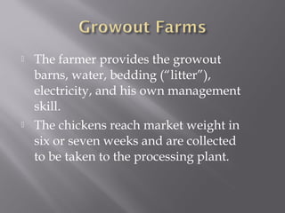Introduction to the poultry industry | PPT