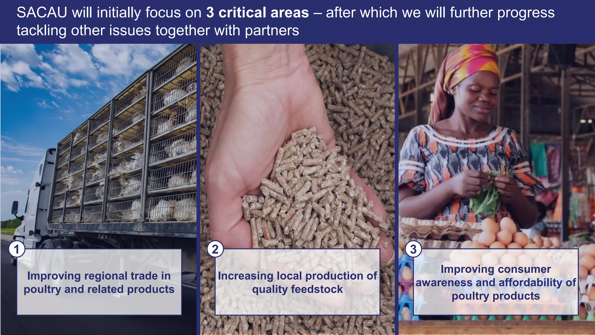 Introduction to the SACAU poultry solution | PPT