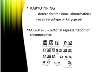 Introduction to the Science of Genetics | PPT