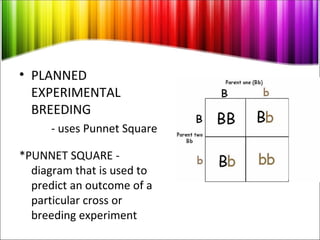 Introduction to the Science of Genetics | PPT