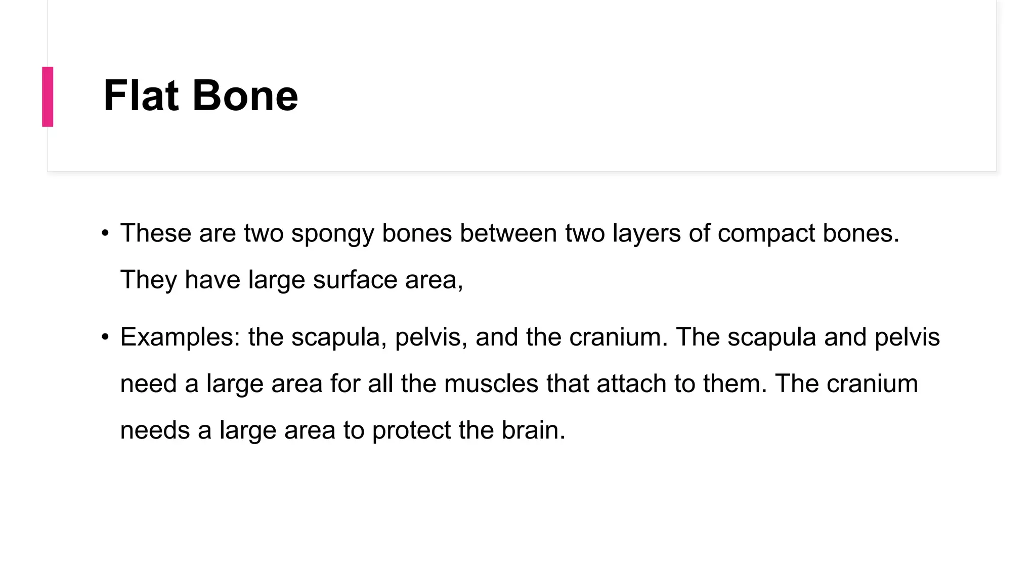 Introduction to the Skeletal System.pptx
