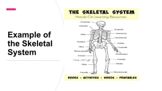 Introduction to the Skeletal System.pptx