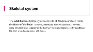 Introduction to the Skeletal System.pptx