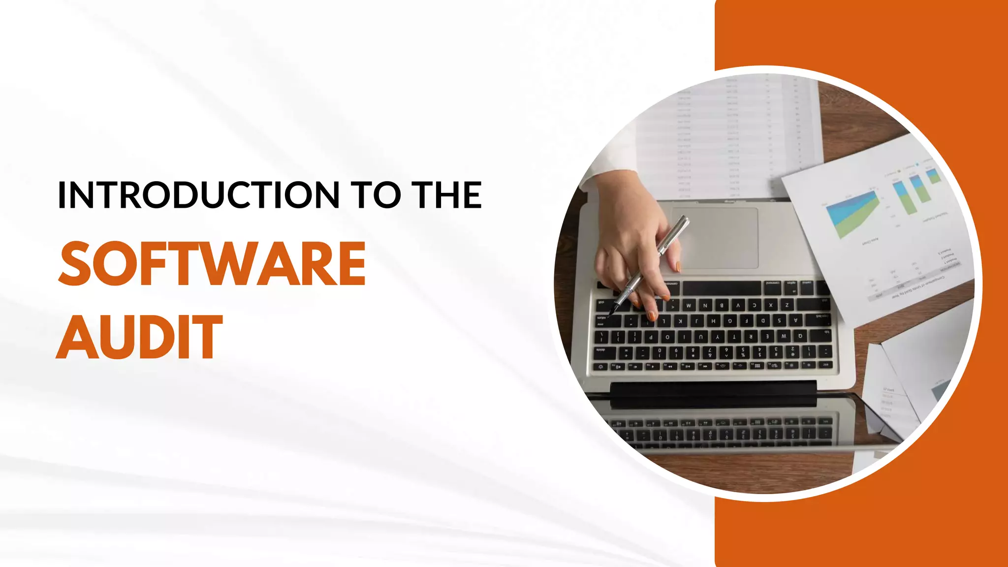 Introduction to the Software Audit.pptx