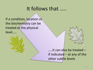 Introduction to the Subtle Bodies | PPTX