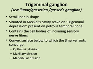 Introduction to the trigeminal nerve ‫‬dental surgery | PPT