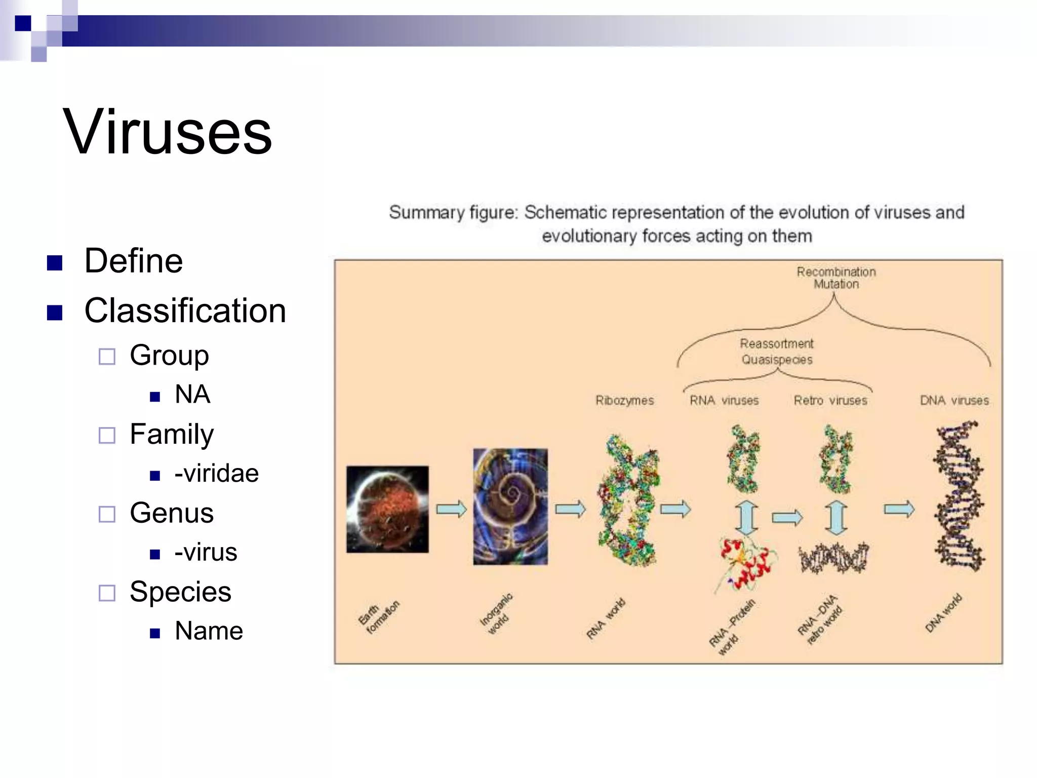 Introduction to the viruses | PPT
