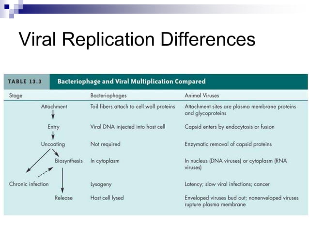 Introduction to the viruses | PPT