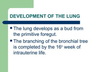 Introduction to thoracic surgery | PPT