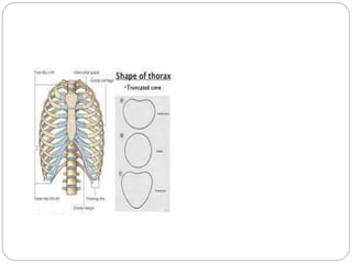 Introduction to thorax | PPTX