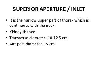 Introduction to Thorax.pptx