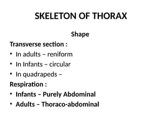 Introduction to Thorax: MBBS FIRST YEAR CURRICULUM | PPTX
