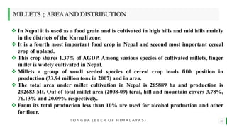 TONGBA - BEER OF HIMALAYAS | PPTX