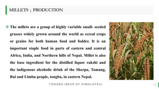 TONGBA - BEER OF HIMALAYAS | PPTX