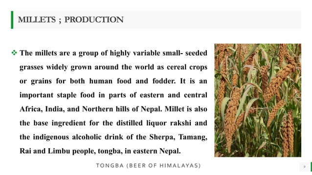 TONGBA - BEER OF HIMALAYAS | PPTX