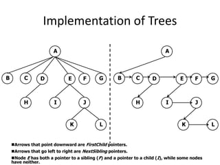 Introduction to tree ds | PPTX
