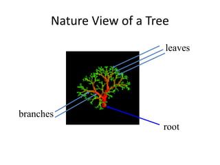 Introduction to tree ds | PPTX