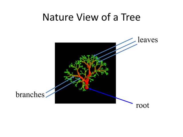 Introduction to tree ds | PPTX