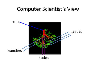 Introduction to tree ds | PPTX