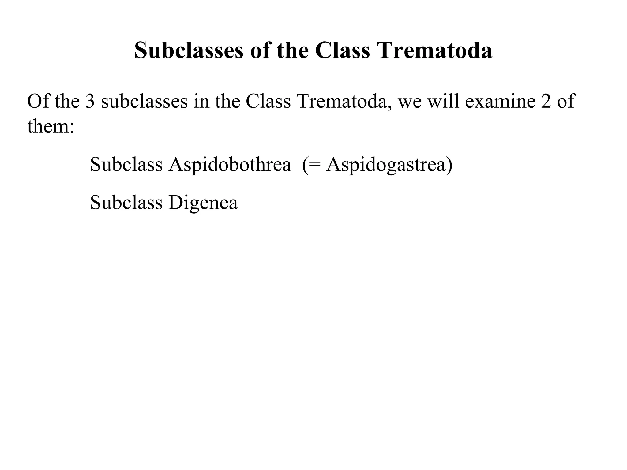 Introduction To Trematodes | PPT