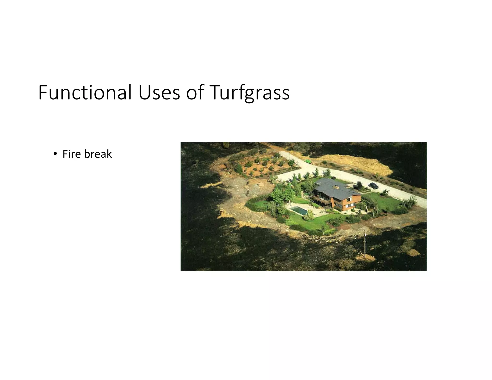 Introduction to Turfgrass Management | PDF