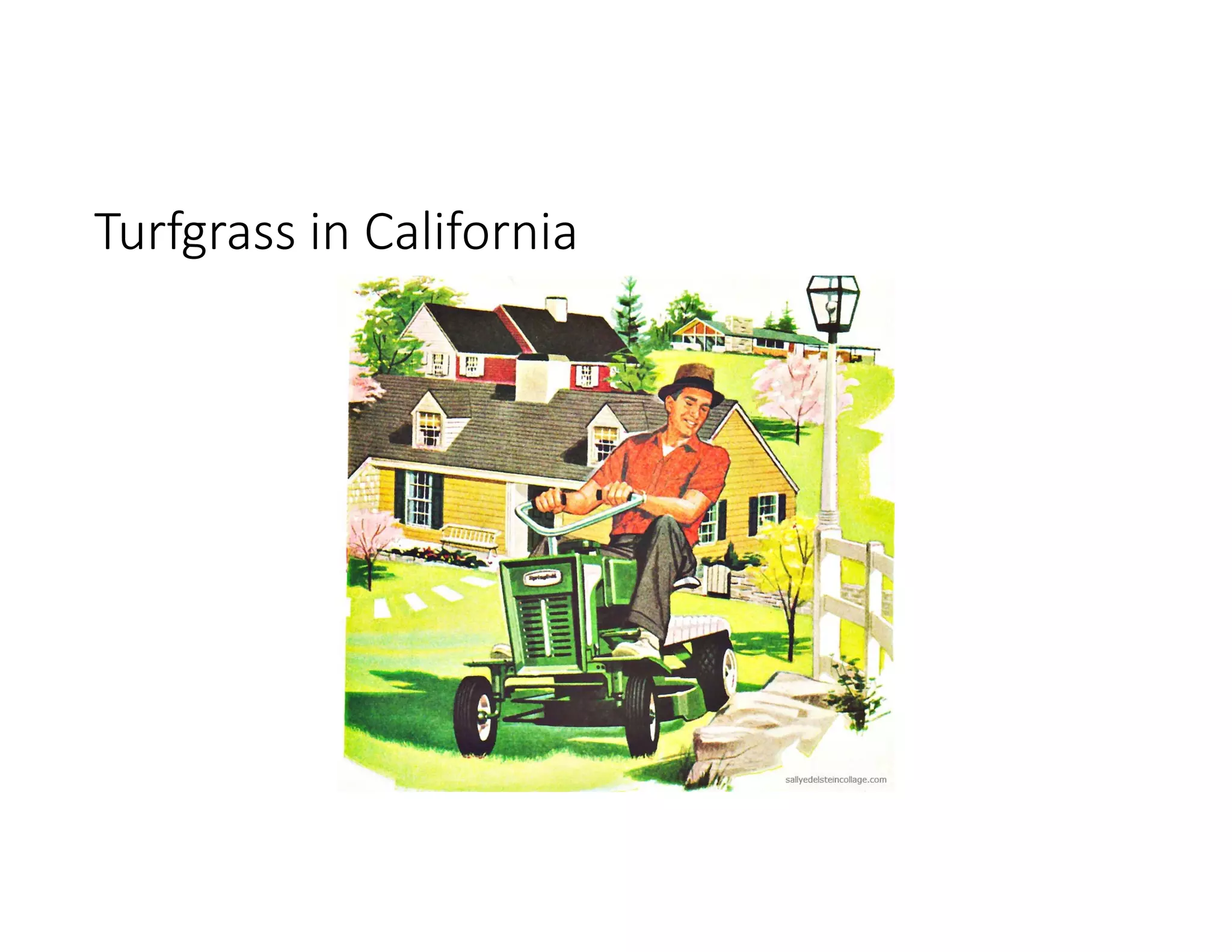 Introduction to Turfgrass Management | PDF