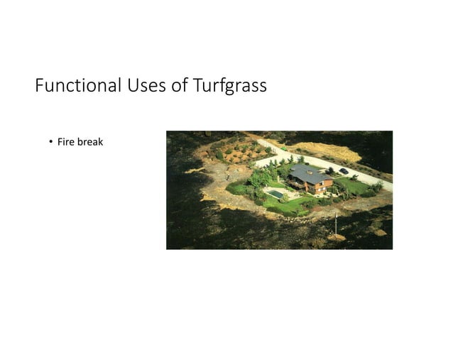 Introduction to Turfgrass Management | PDF | Landscaping | Home & Garden