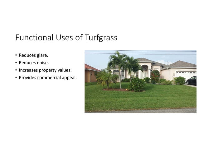 Introduction to Turfgrass Management | PDF | Landscaping | Home & Garden