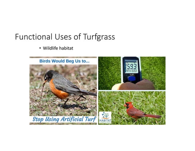 Introduction to Turfgrass Management | PDF | Landscaping | Home & Garden