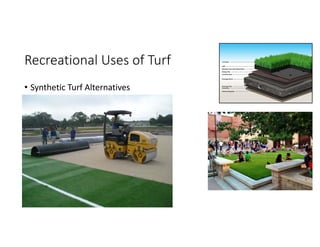 Introduction to Turfgrass Management | PDF