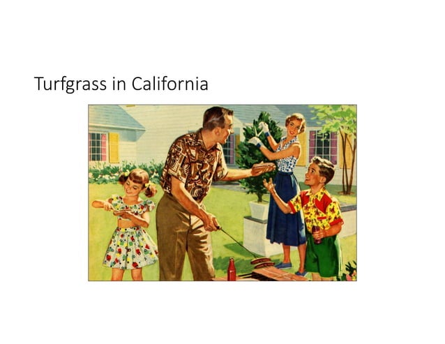 Introduction to Turfgrass Management | PDF | Landscaping | Home & Garden