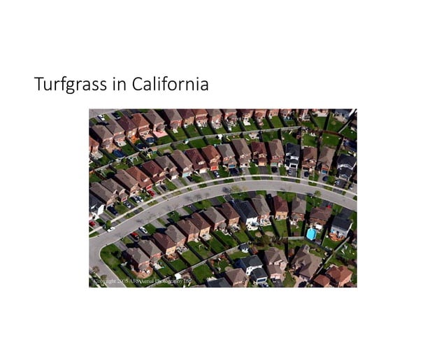 Introduction to Turfgrass Management | PDF | Landscaping | Home & Garden