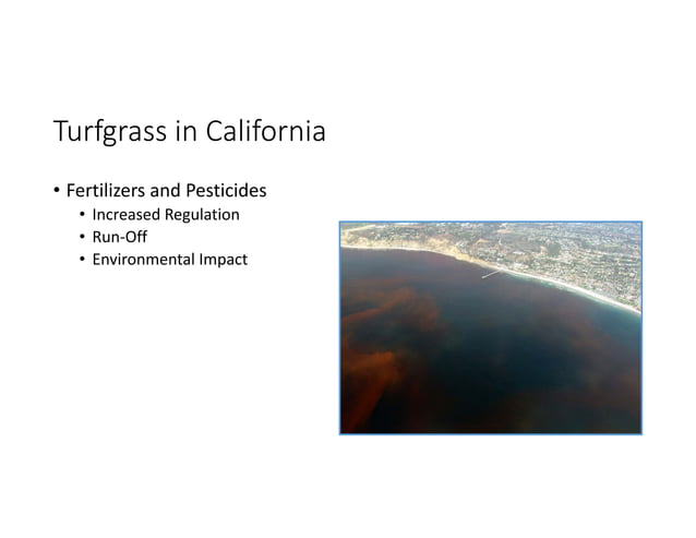 Introduction to Turfgrass Management | PDF | Landscaping | Home & Garden