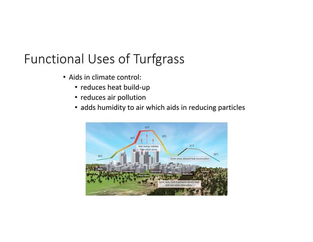 Introduction to Turfgrass Management | PDF | Landscaping | Home & Garden