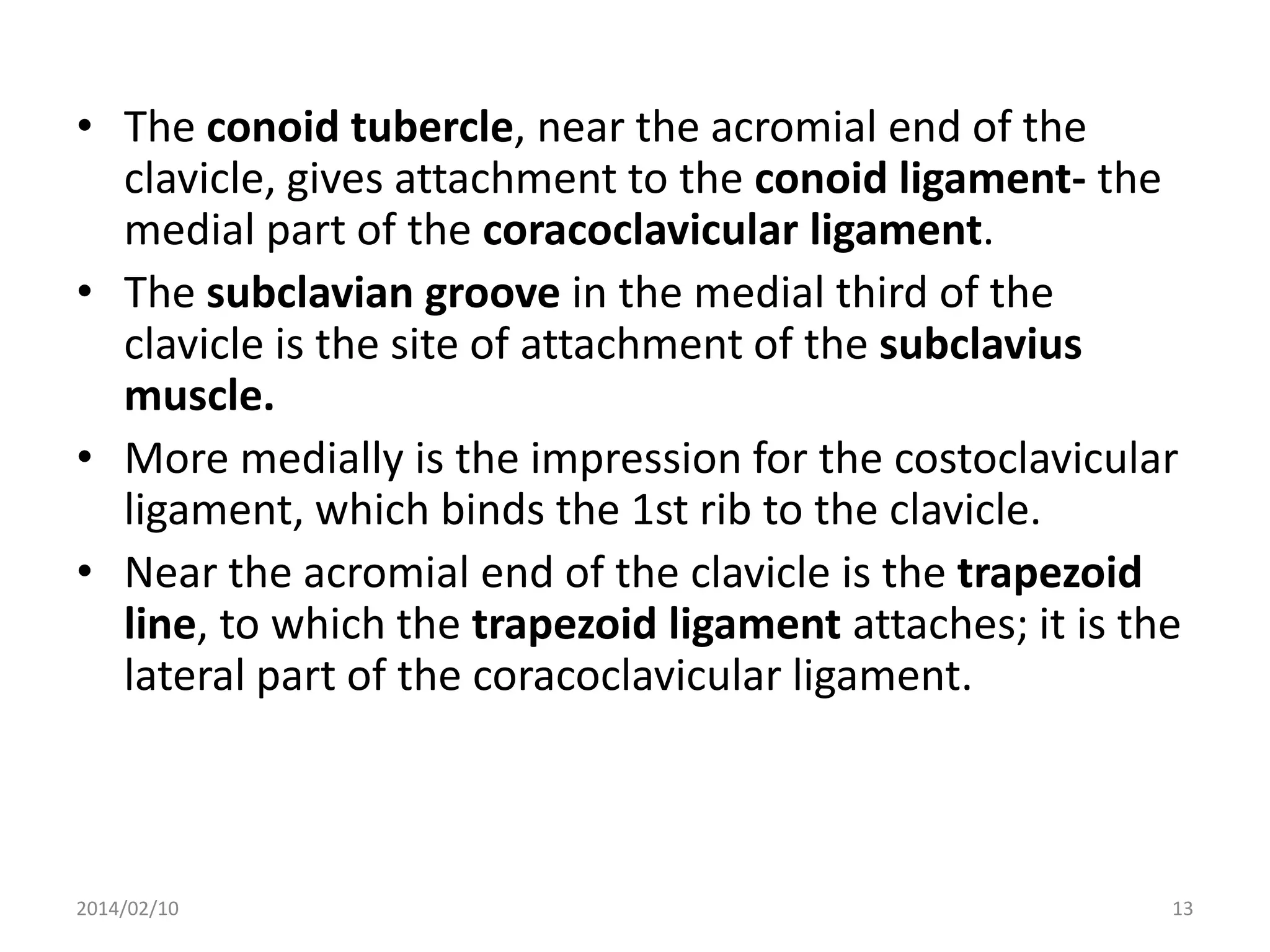 Introduction to upper limb | PPTX