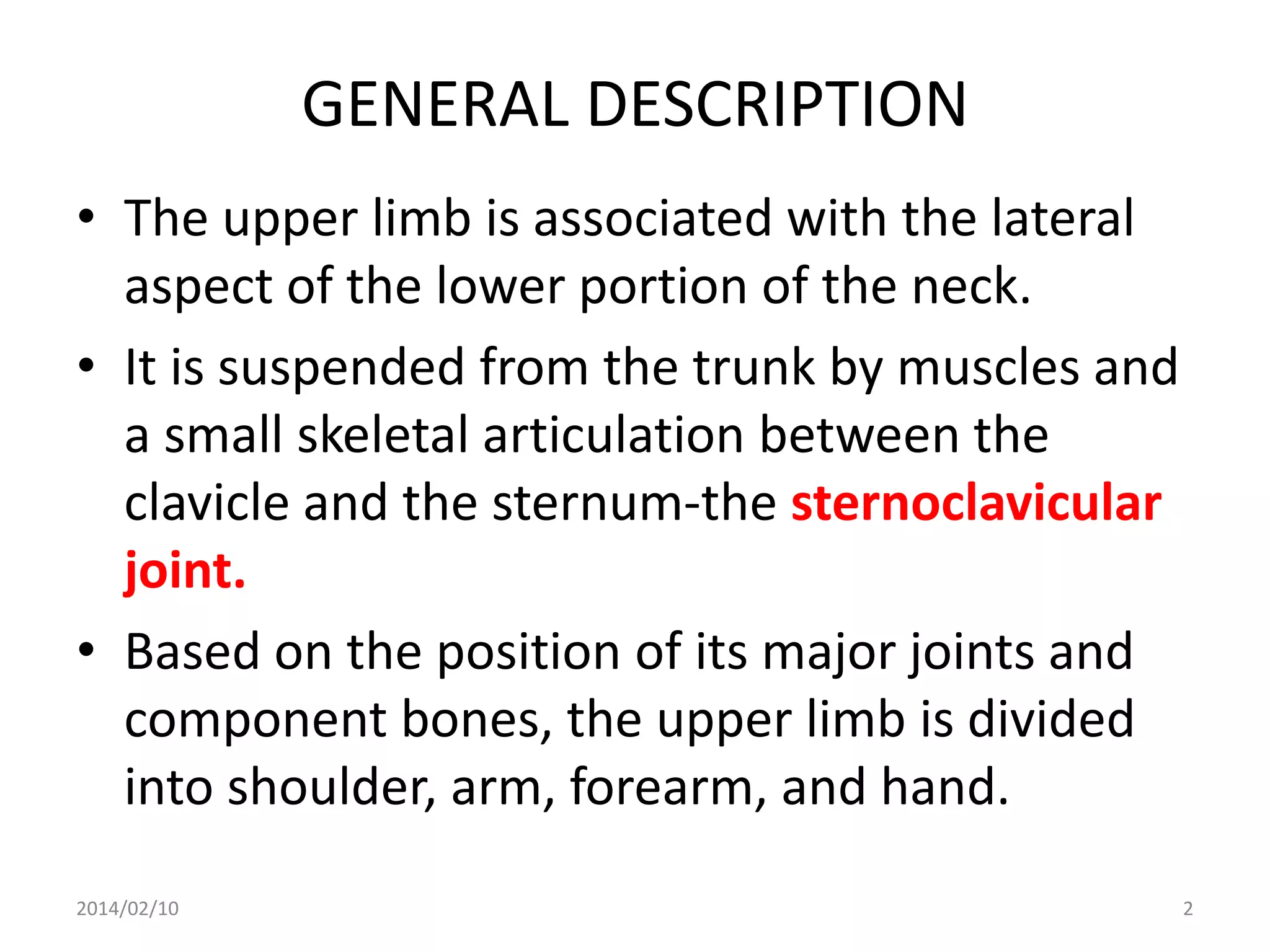 Introduction to upper limb | PPTX