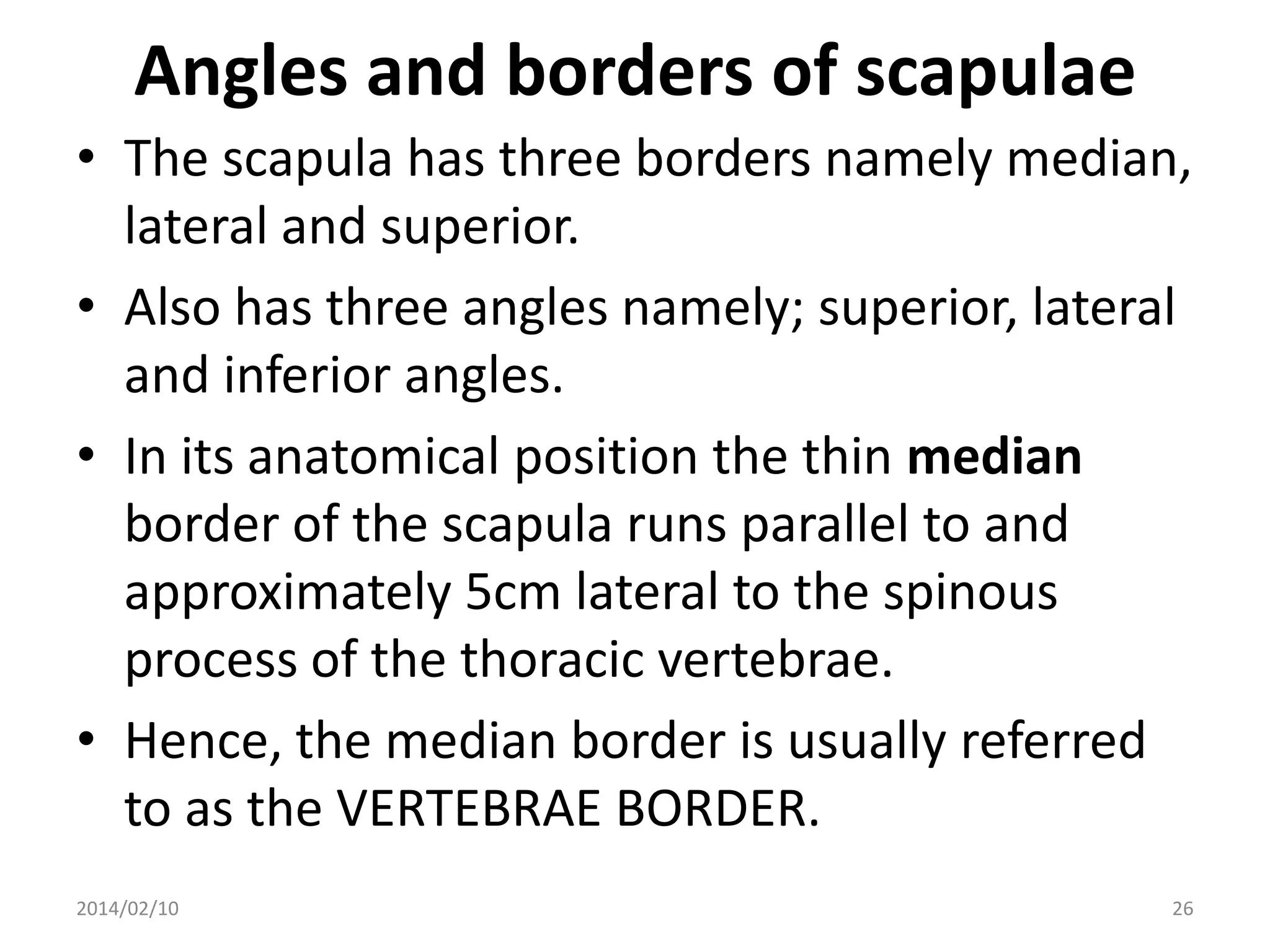 Introduction to upper limb | PPTX