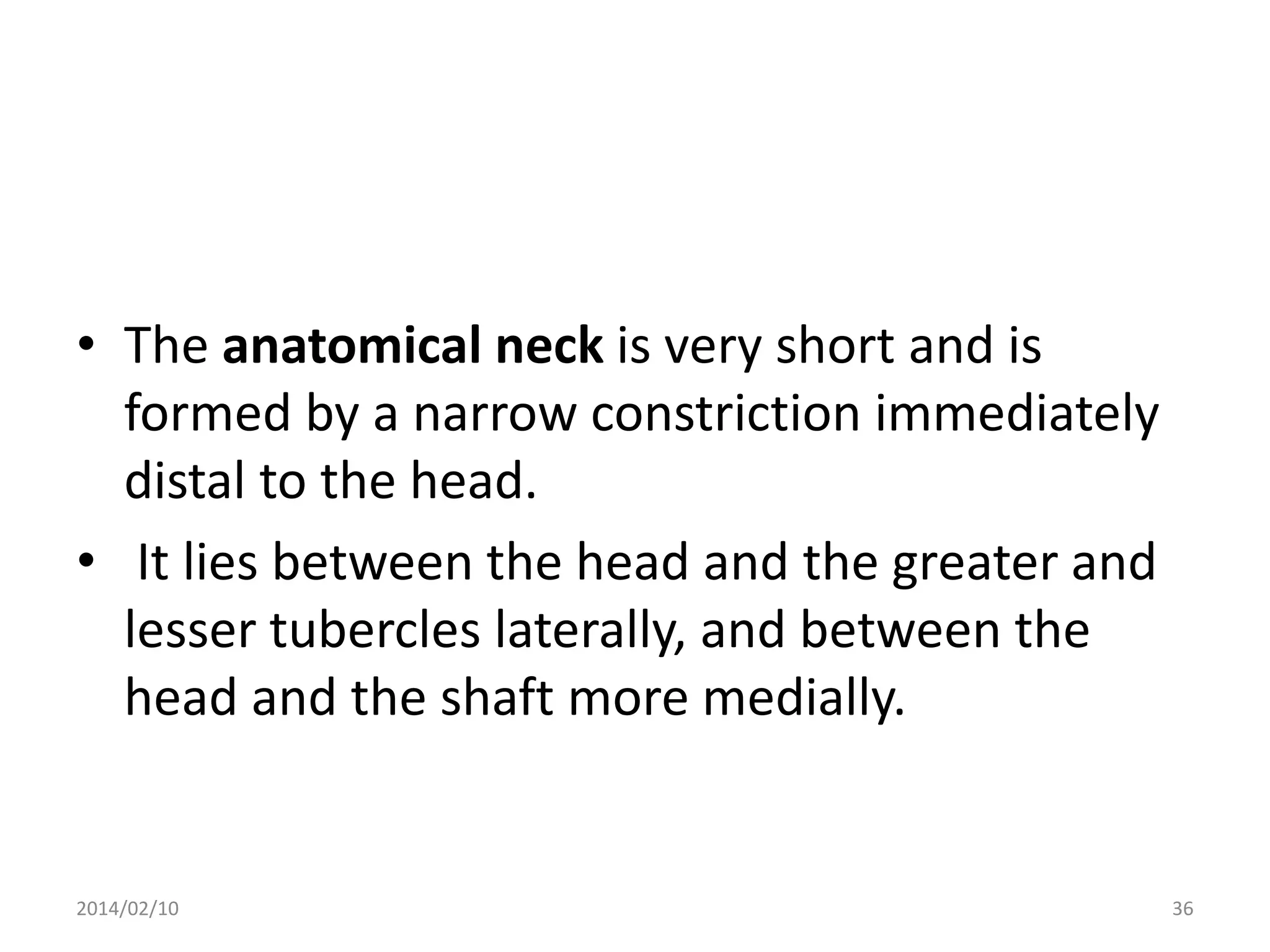 Introduction to upper limb | PPTX