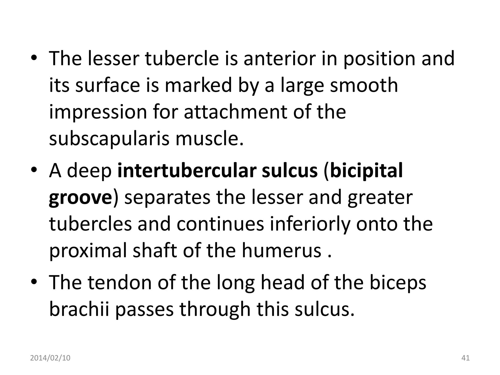 Introduction to upper limb | PPTX
