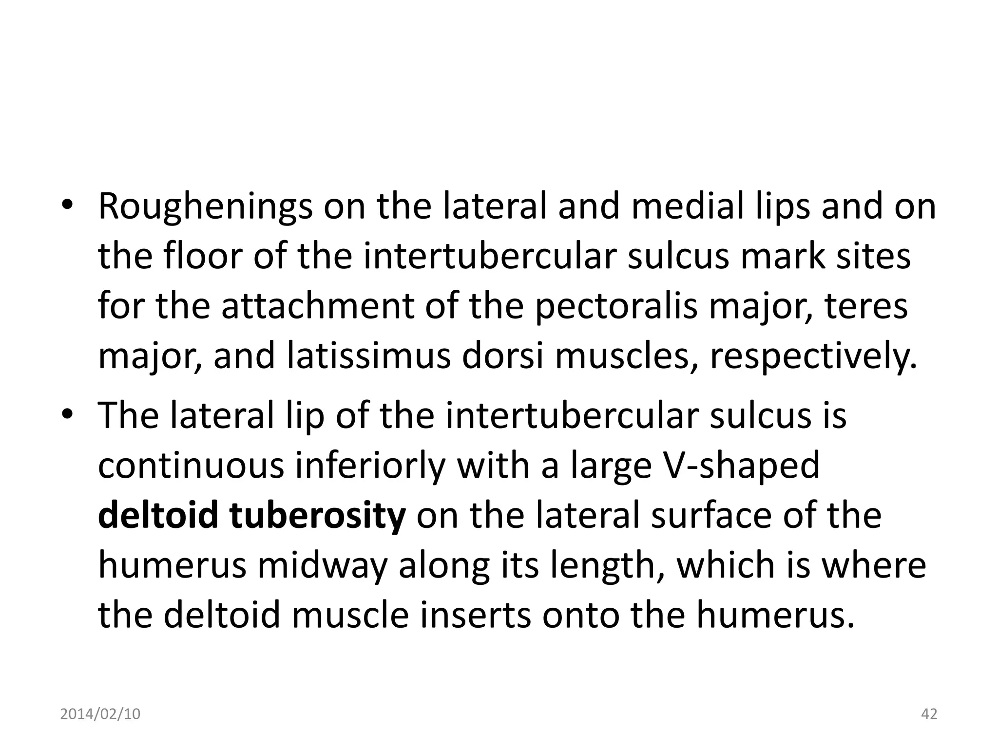 Introduction to upper limb | PPTX