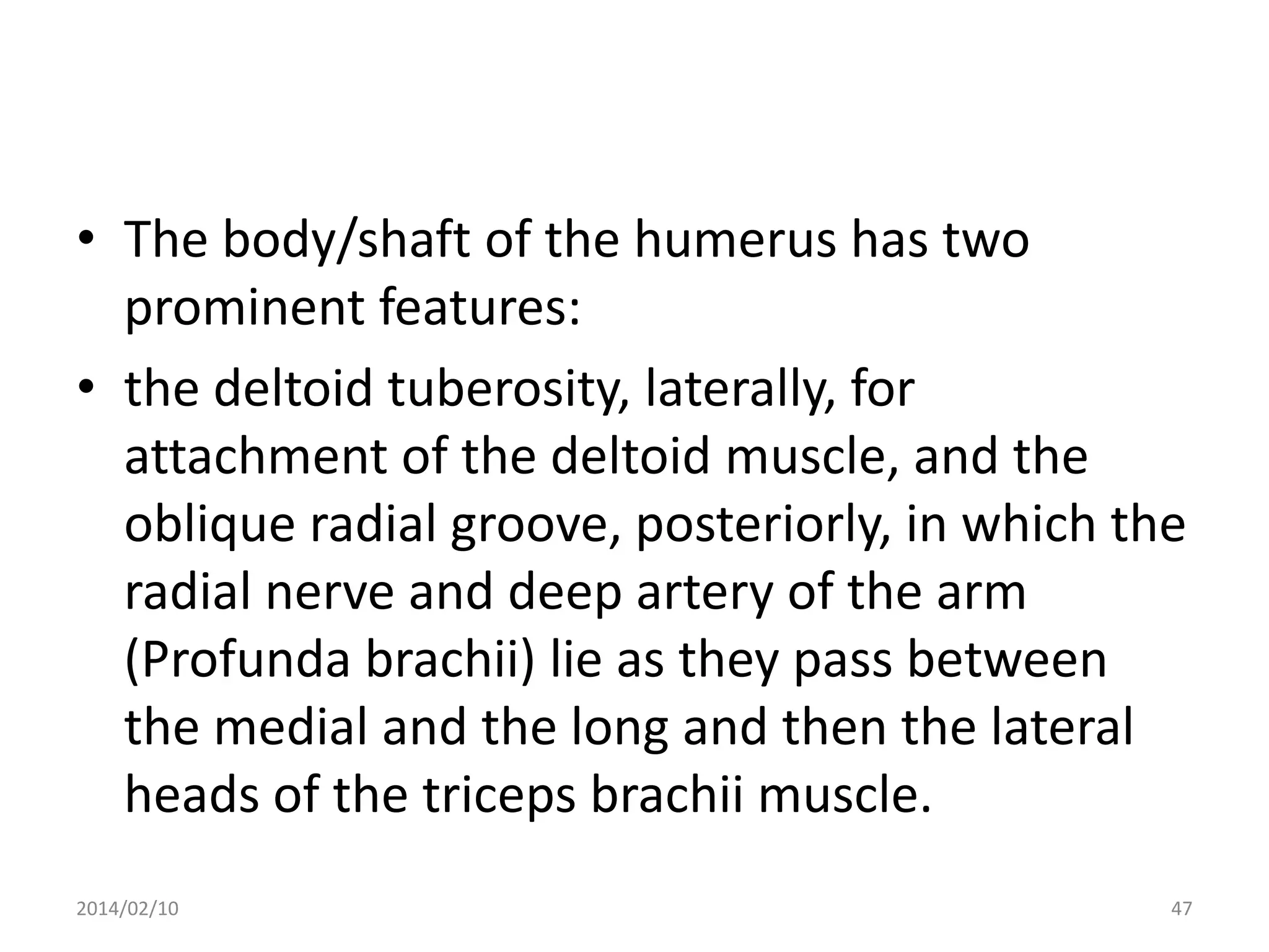 Introduction to upper limb | PPTX