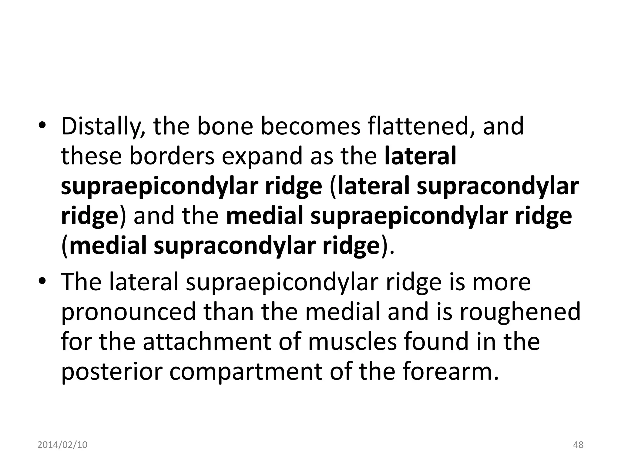 Introduction to upper limb | PPTX
