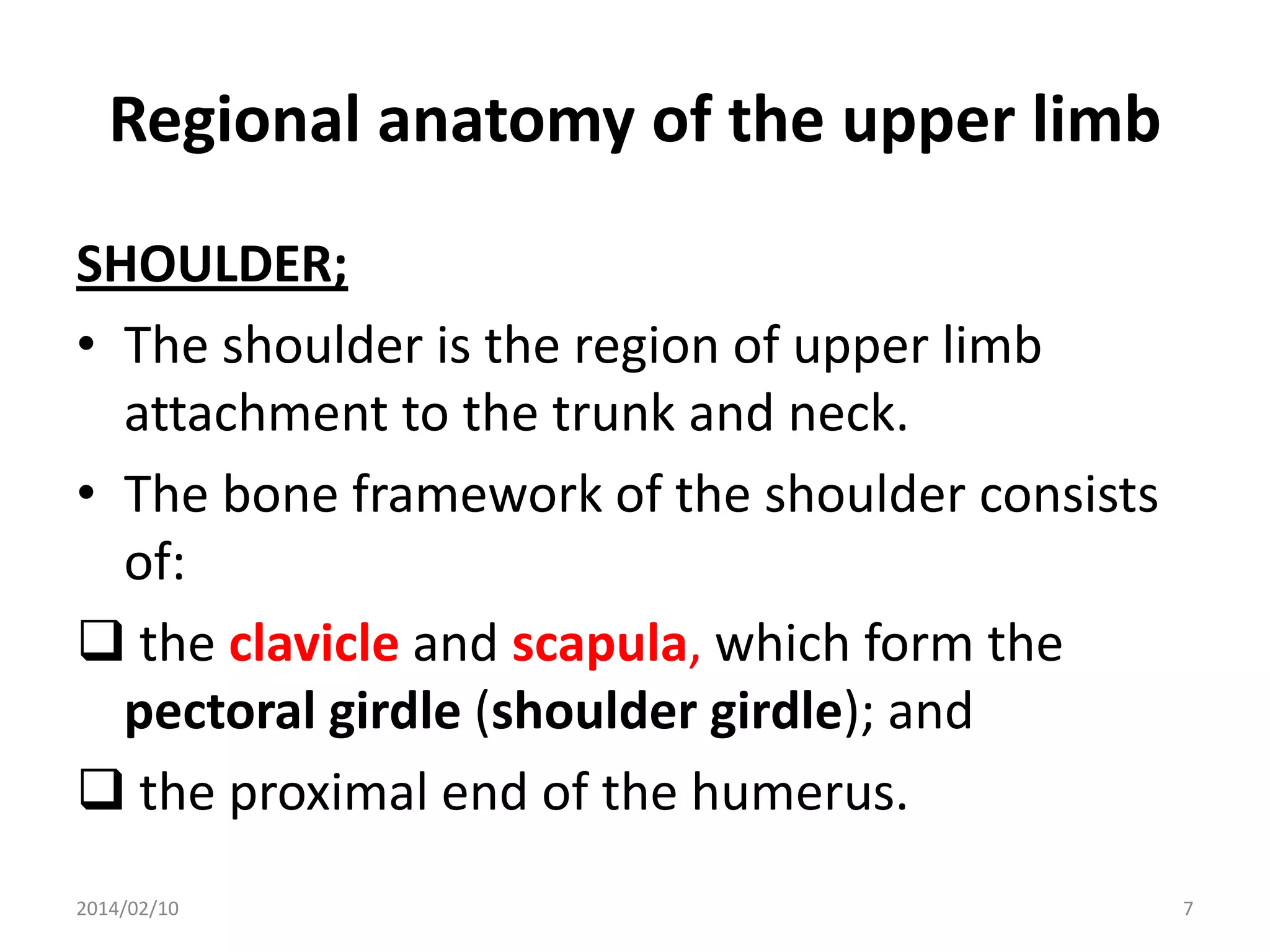 Introduction to upper limb | PPTX