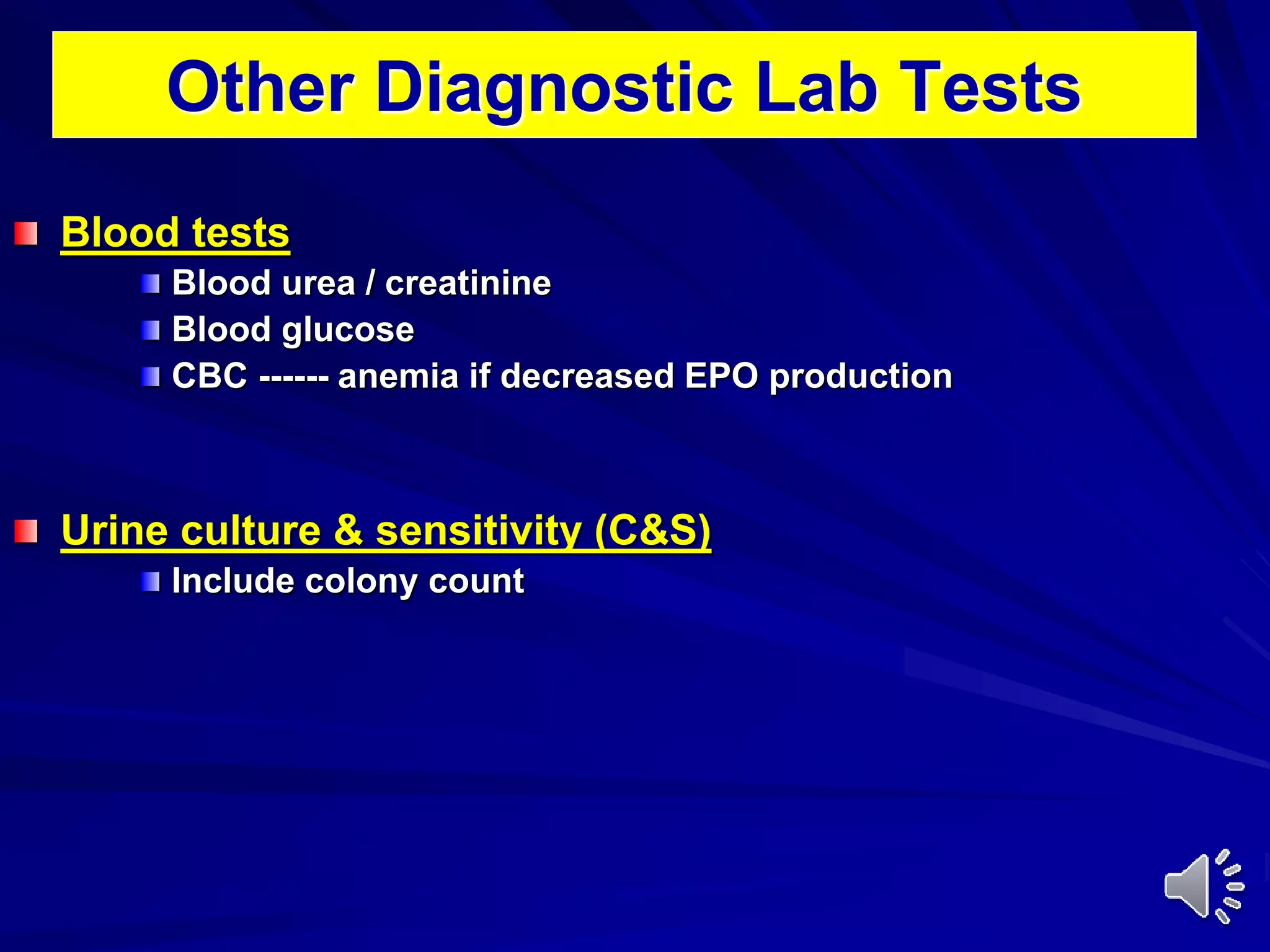 Introduction to urology by sayed eleweedy | PPT