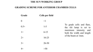 Introduction to uveitis | PPTX | Eye and Vision Conditions | Diseases ...