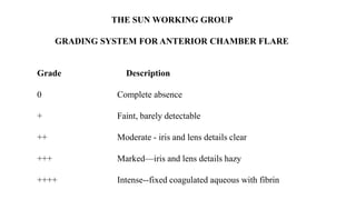 Introduction to uveitis | PPTX | Eye and Vision Conditions | Diseases ...