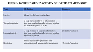 Introduction to uveitis | PPTX | Eye and Vision Conditions | Diseases ...