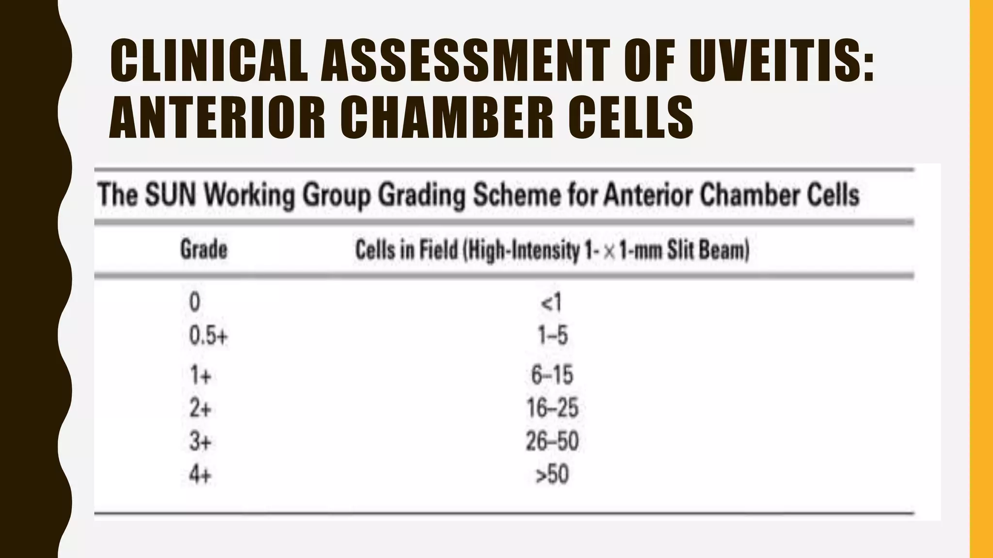 INTRODUCTION TO UVEITIS by Dr. Iddi.pptx