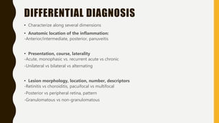 INTRODUCTION TO UVEITIS by Dr. Iddi.pptx